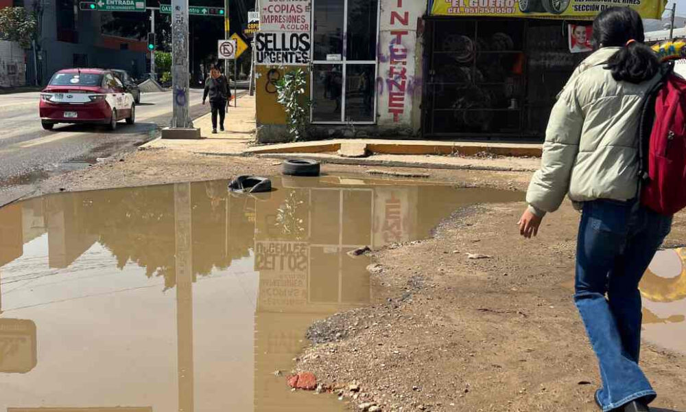 Los casos de dengue en México suman más de 17 mil en los primeros seis meses del año; la cifra ...